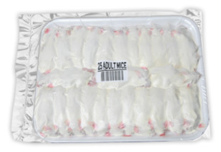 Adult Mice – The Big Cheese Rodent Factory