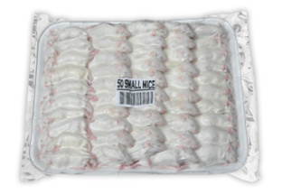 Small Adult Mice – The Big Cheese Rodent Factory