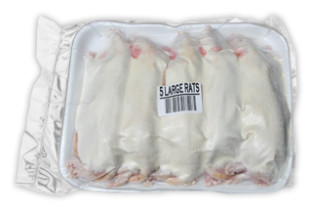 Large Rats – The Big Cheese Rodent Factory